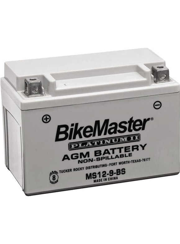AGM Car Batteries in AGM Batteries - Walmart.com