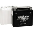 Bikemaster Maintenance Free Battery - BT12B-BS - Walmart.com