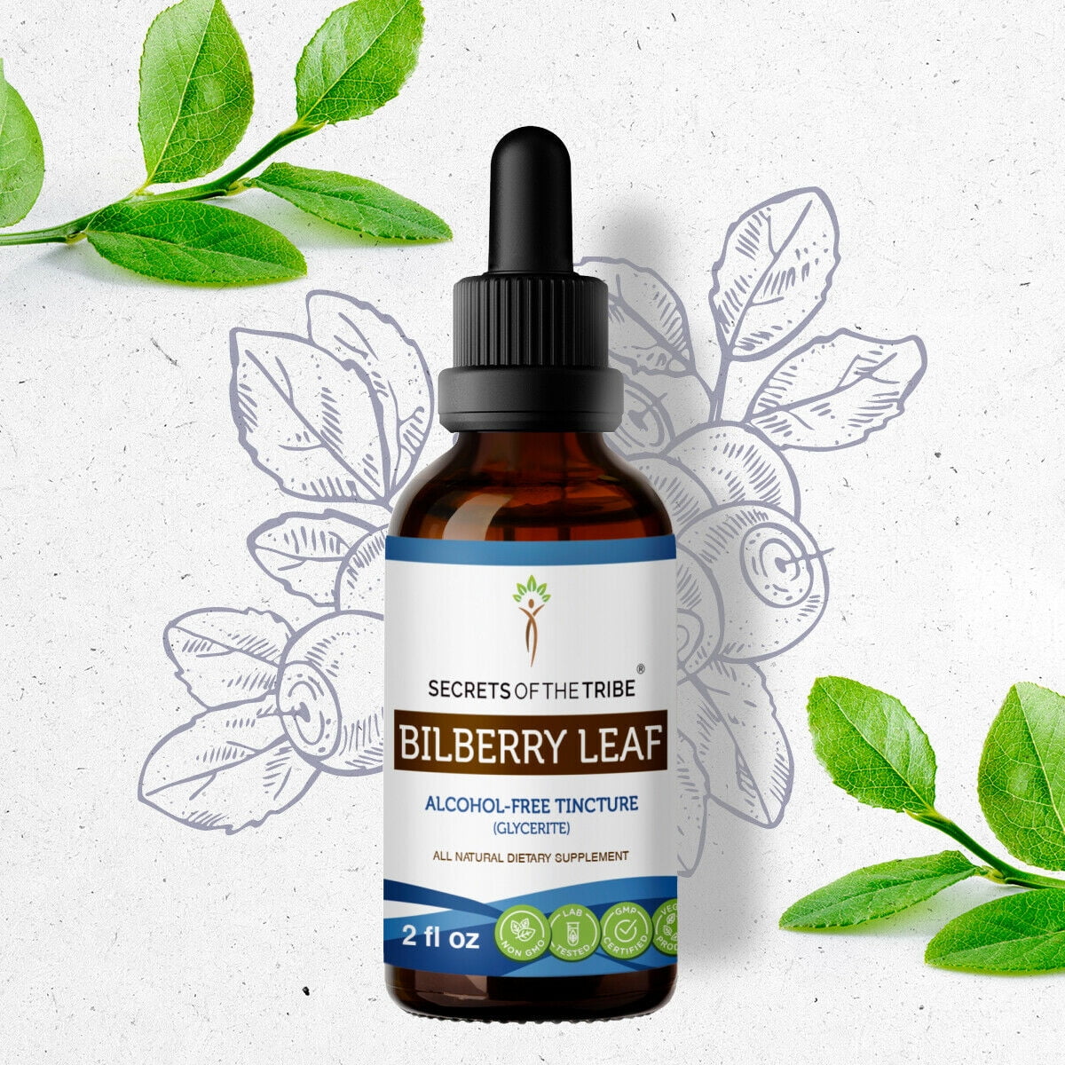 Bilberry leaf Tincture Alcohol-FREE Extract, Bilberry Vaccinium ...