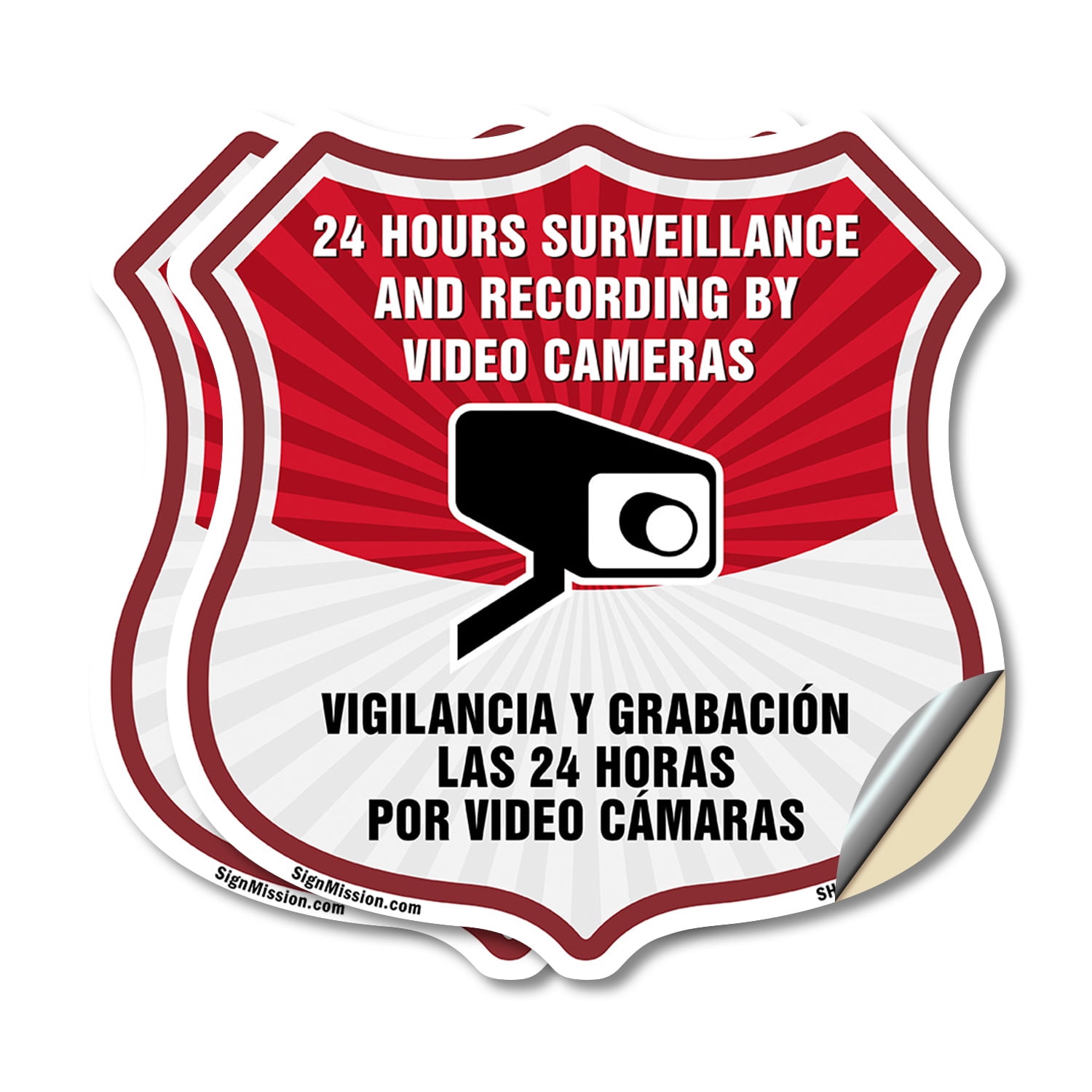 Bilingual 24 Hour Surveillance 24 Hour Surveillance And Recording By ...