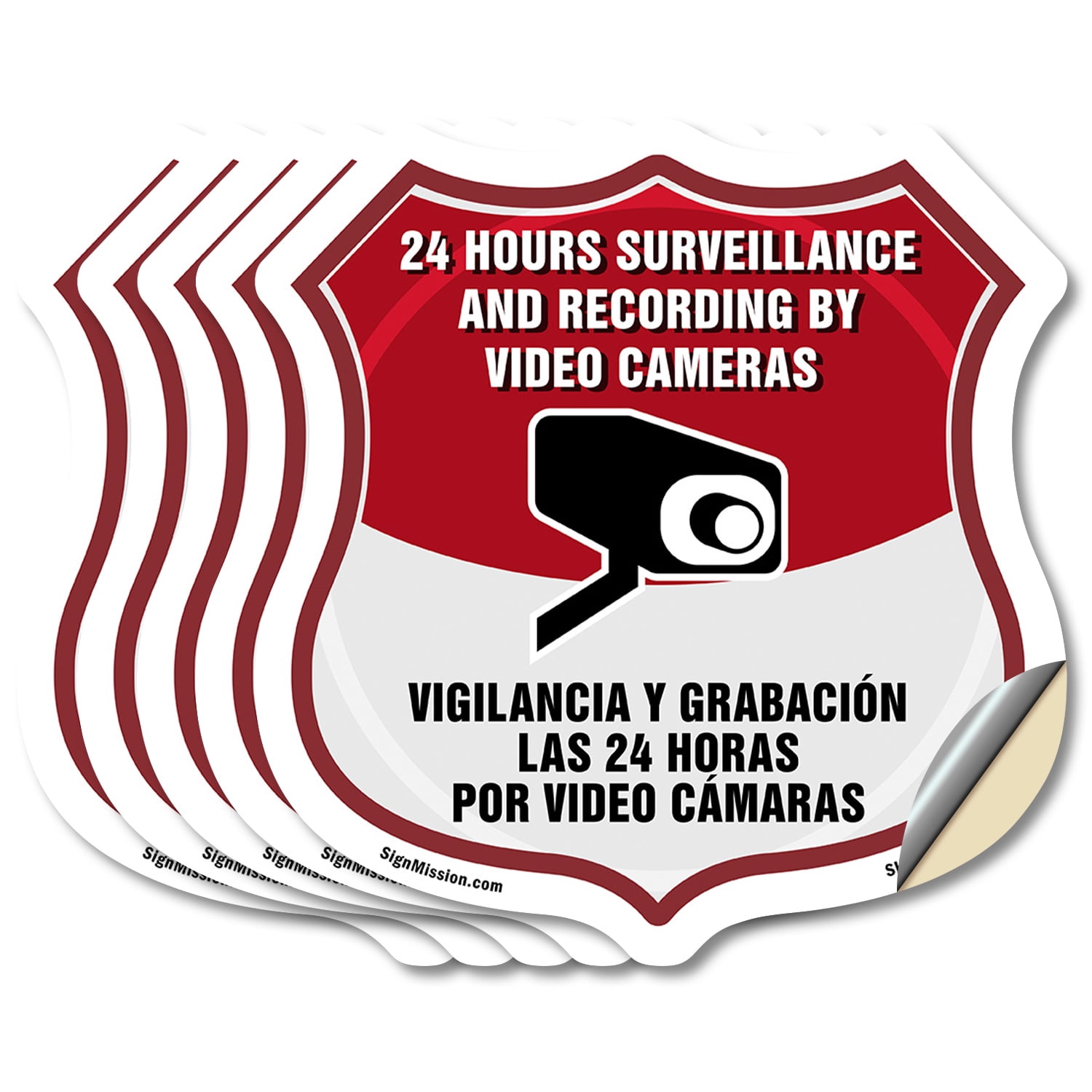 Bilingual 24 Hour Surveillance 24 Hour Surveillance And Recording By ...