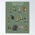 Bilingual Feelings Chart Educational Poster, Poster Home Decor , Poster ...