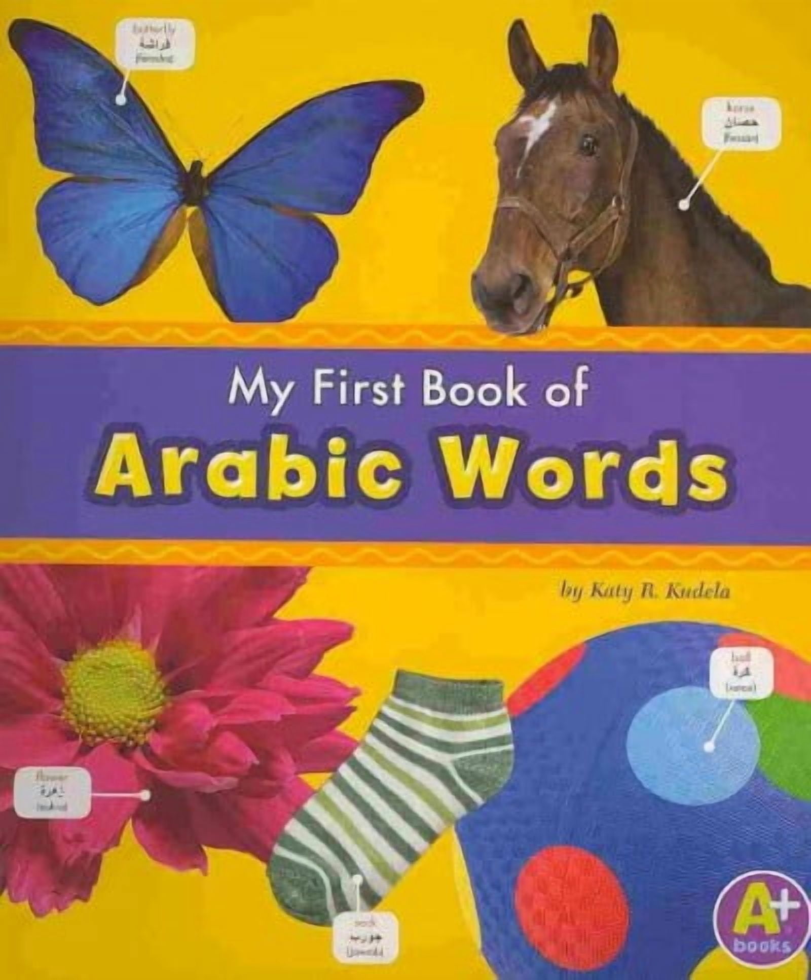 Bilingual Picture Dictionaries: My First Book of Arabic Words ...