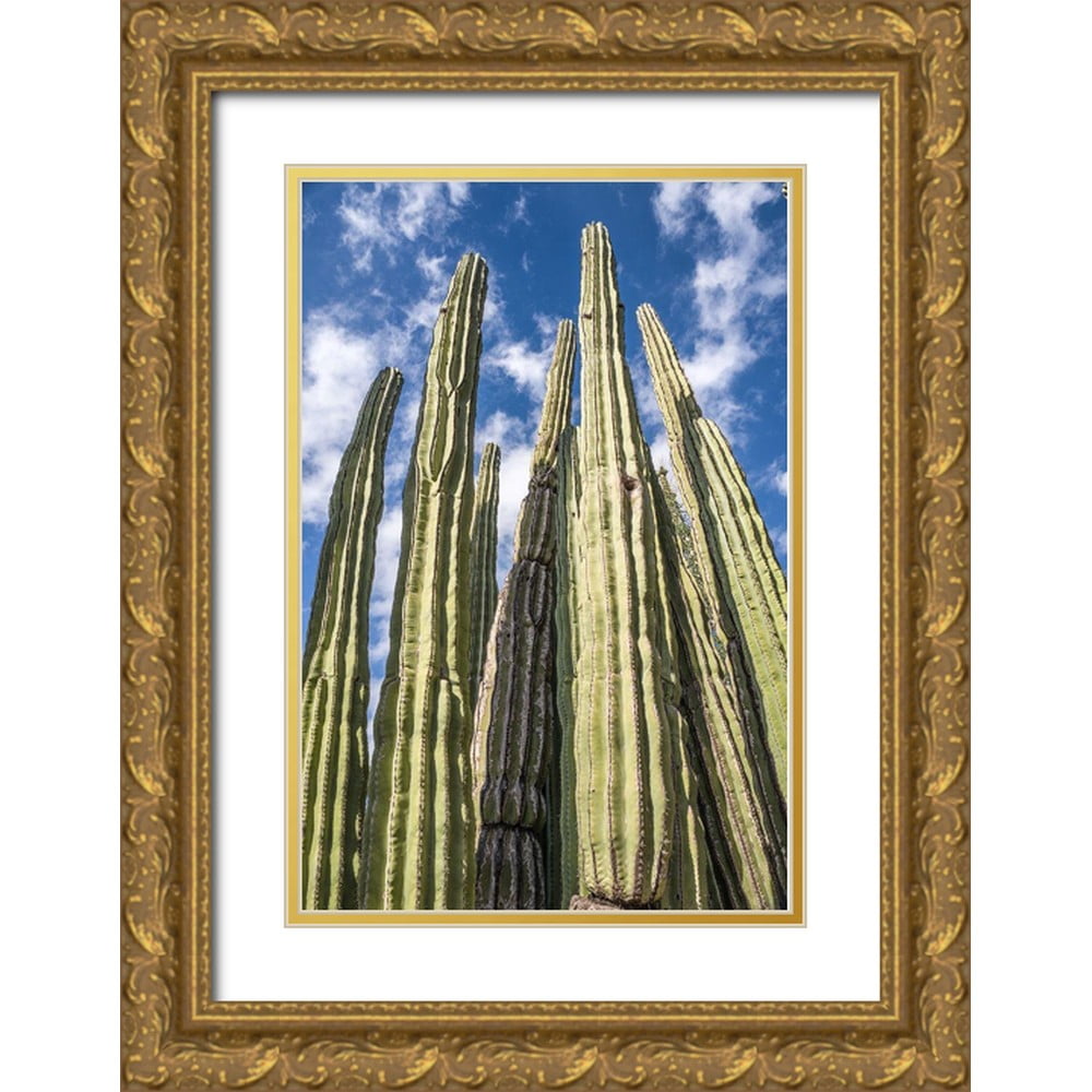 Bill Carson Photography 13x18 Gold Ornate Wood Framed with Double ...