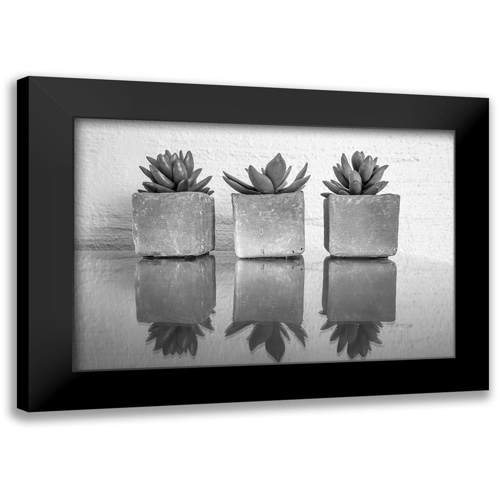 Bill Carson Photography 14x11 Black Modern Framed Museum Art Print ...