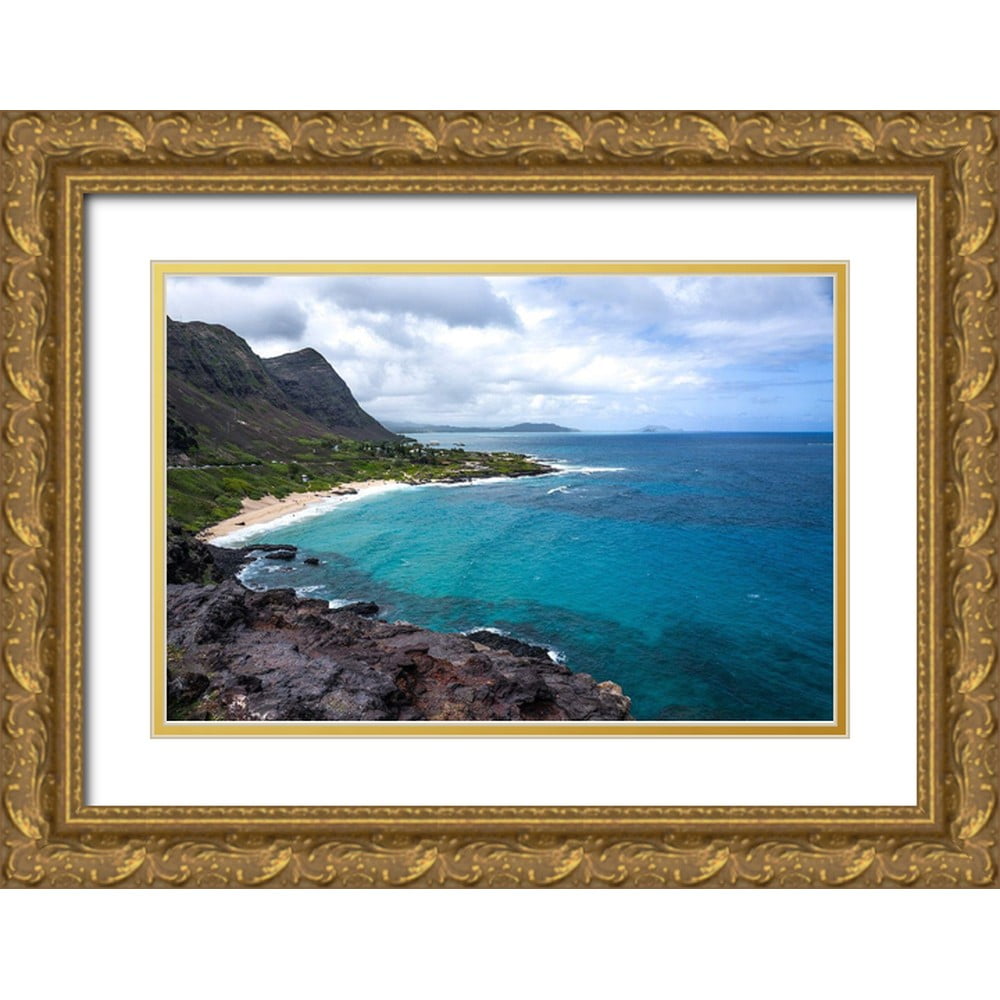 Bill Carson Photography 14x11 Gold Ornate Wood Framed with Double ...