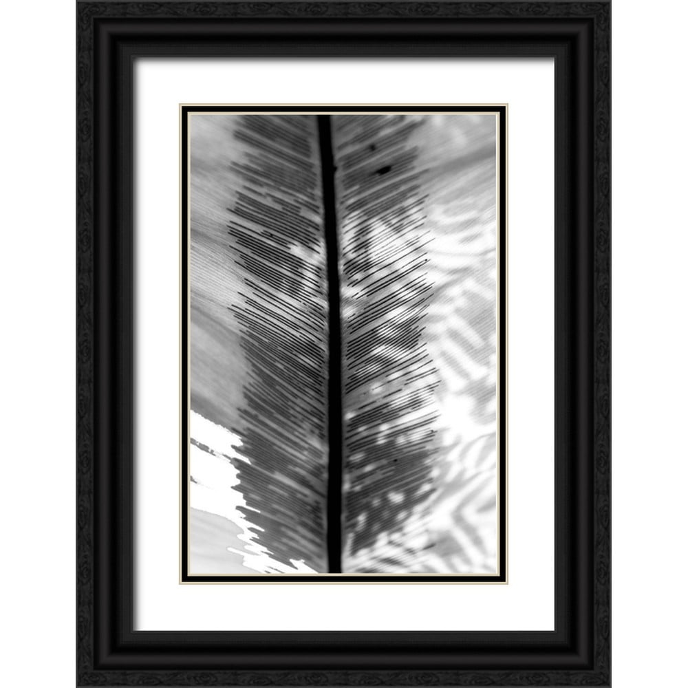 Bill Carson Photography 17x24 Black Ornate Wood Framed with Double ...