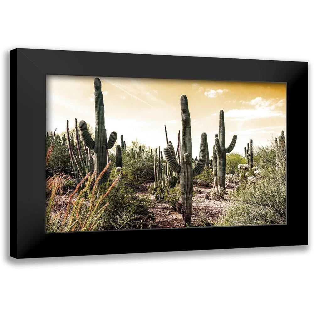 Bill Carson Photography 18x13 Black Modern Framed Museum Art Print ...