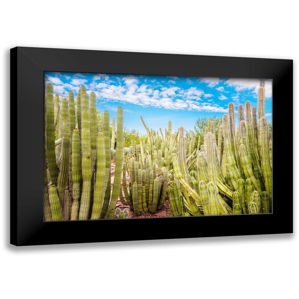 Bill Carson Photography 18x13 Black Modern Framed Museum Art Print ...