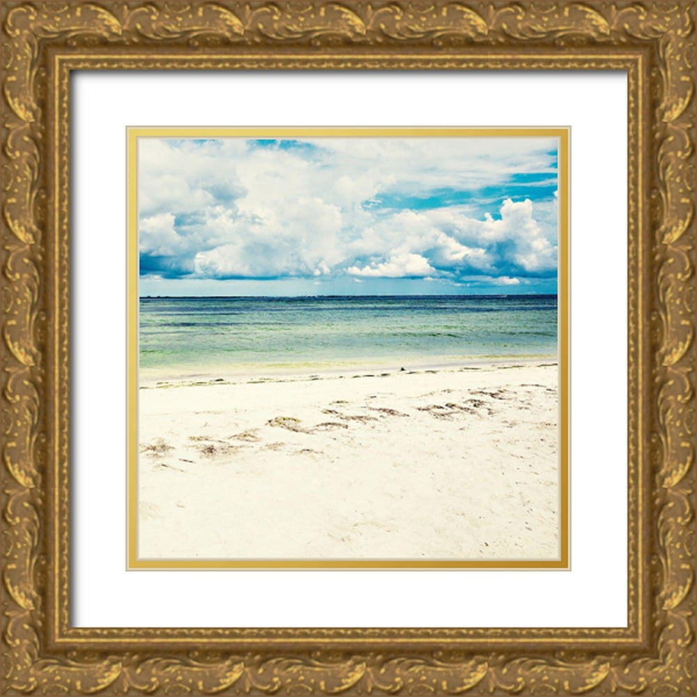 Bill Carson Photography 20x20 Gold Ornate Wood Framed with Double ...
