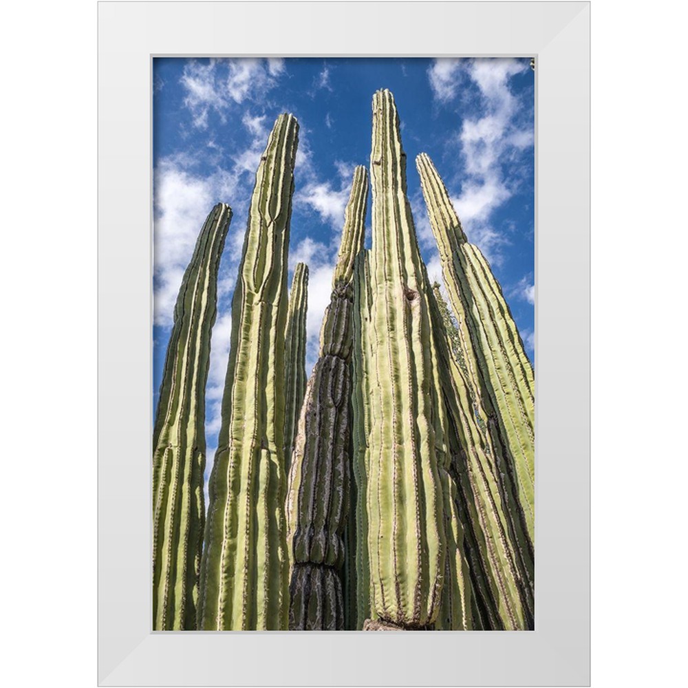 Bill Carson Photography 23x32 White Modern Wood Framed Museum Art Print ...