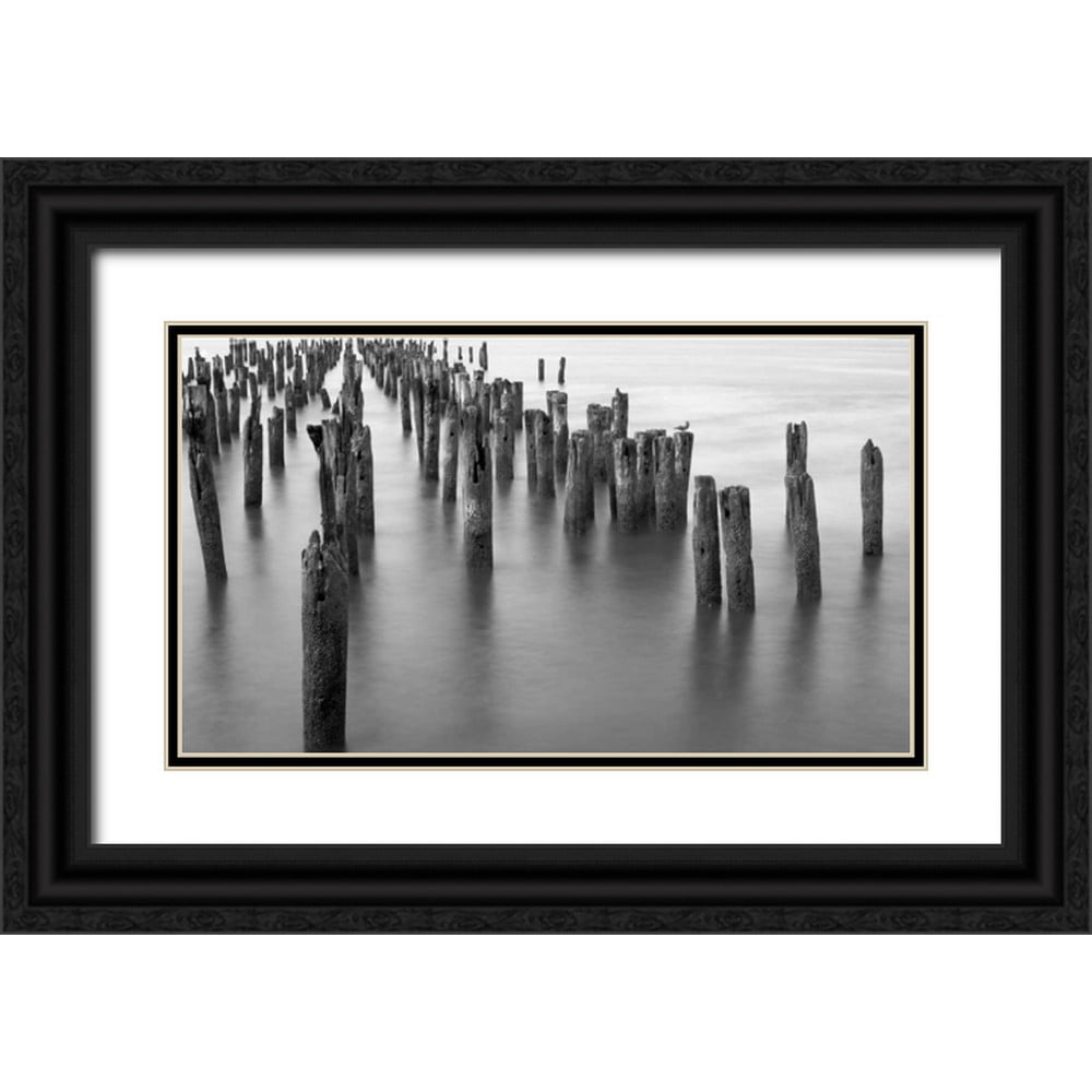Bill Carson Photography 24x15 Black Ornate Wood Framed with Double ...