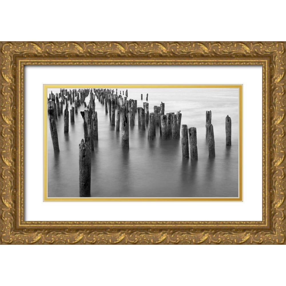 Bill Carson Photography 24x15 Gold Ornate Wood Framed with Double ...