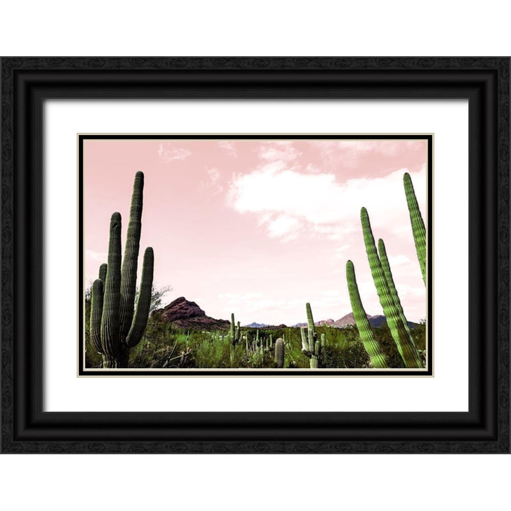 Bill Carson Photography 24x17 Black Ornate Wood Framed with Double ...