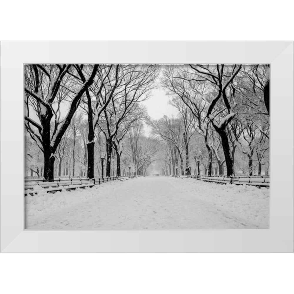 Bill Carson Photography 24x17 White Modern Wood Framed Museum Art Print ...