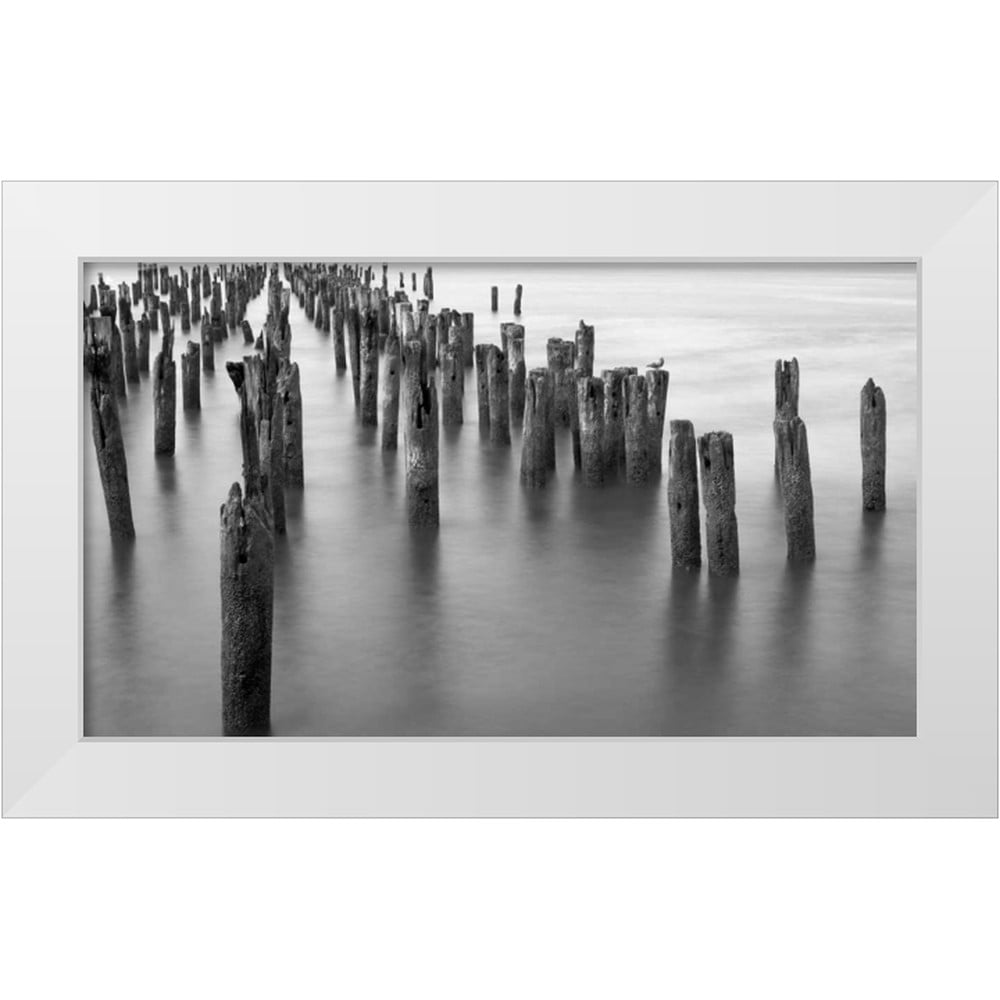 Bill Carson Photography 32x20 White Modern Wood Framed Museum Art Print ...