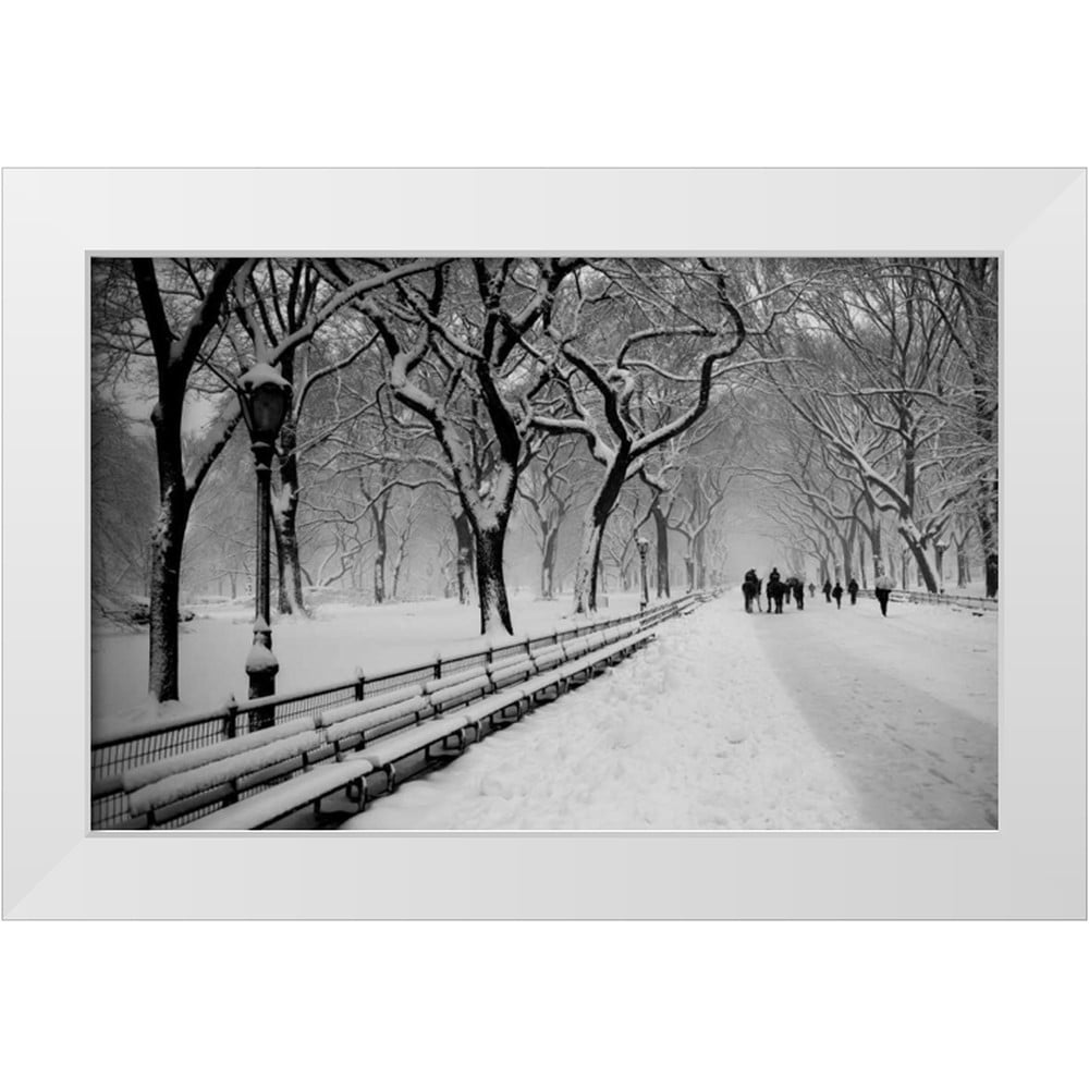 Bill Carson Photography 32x22 White Modern Wood Framed Museum Art Print ...