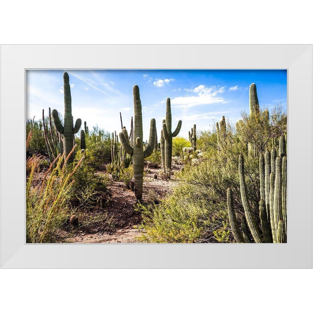 Bill Carson Photography 32x23 White Modern Wood Framed Museum Art Print ...