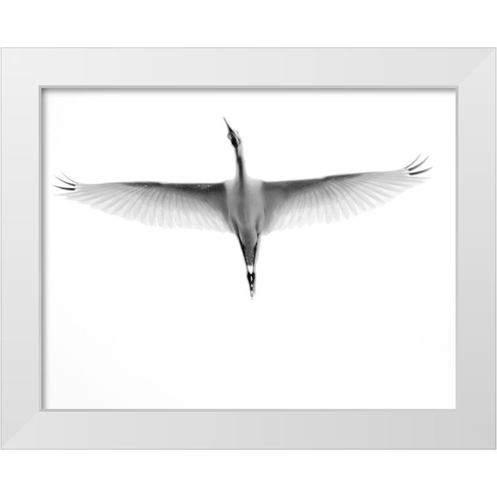 Bill Carson Photography 32x26 White Modern Wood Framed Museum Art Print ...