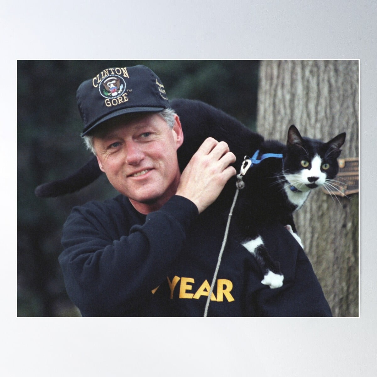 Bill Clinton With Cat. Poster Wall Art, Modern Wall Decor For Living ...