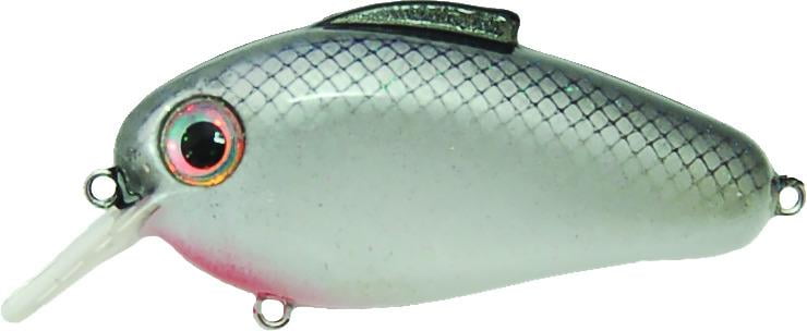 Bill Lewis Fishing Lure EC836 Echo 1.75 Crankbait 3" 5/8 oz Silverado ...