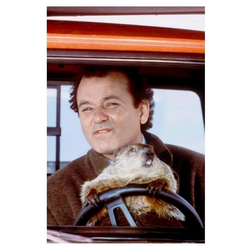 Bill Murray Groundhog Day Movie Poster 1993 Iconic Comedy Film Classic Hollywood Actor Wall Art ...