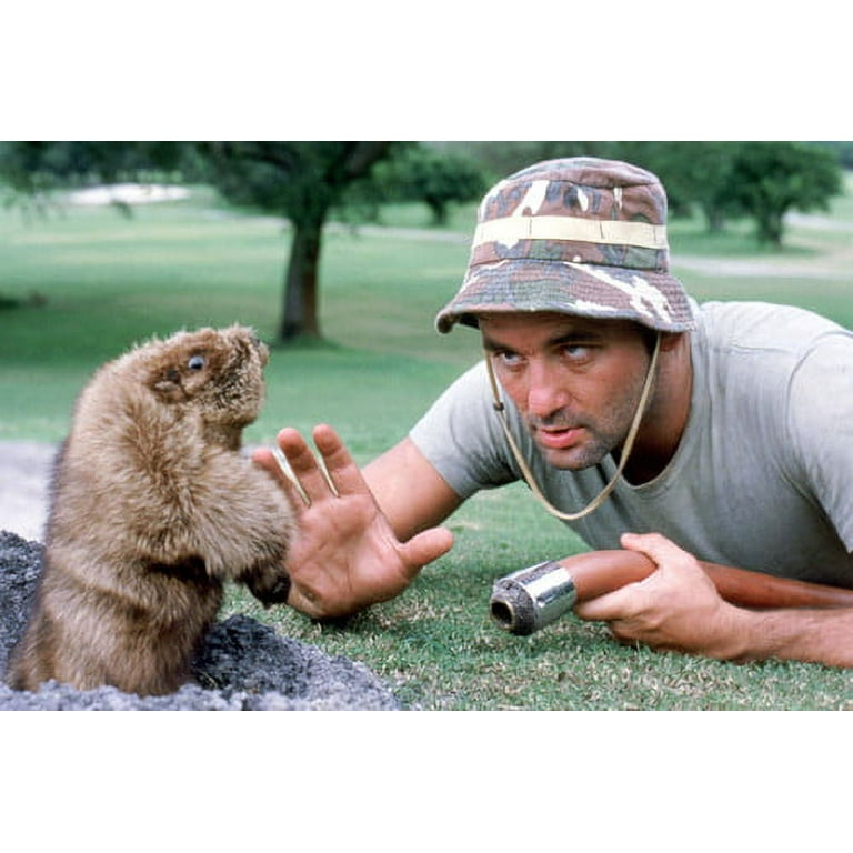 Unge Bill Murray Caddyshack Bill Murray Movie Binge? Try 14 Essentials