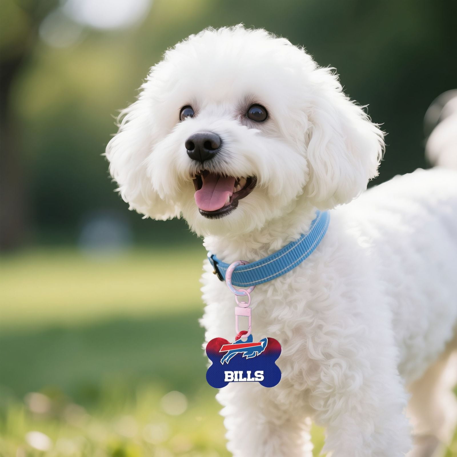 Bills Bone shaped Acrylic Pet Tags Football Team Clear Pet ID Tag ...