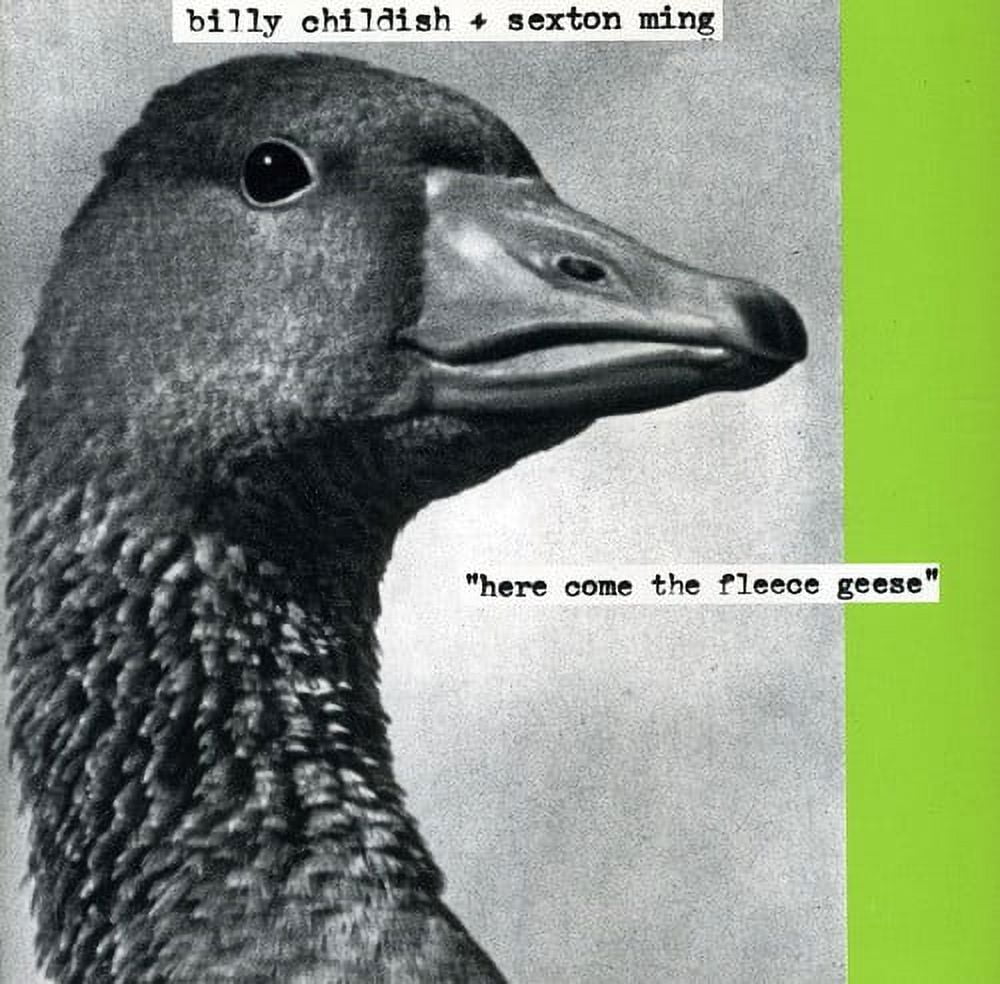 Billy Childish - Here Come the Fleece Geese - Punk Rock - CD - Walmart.com