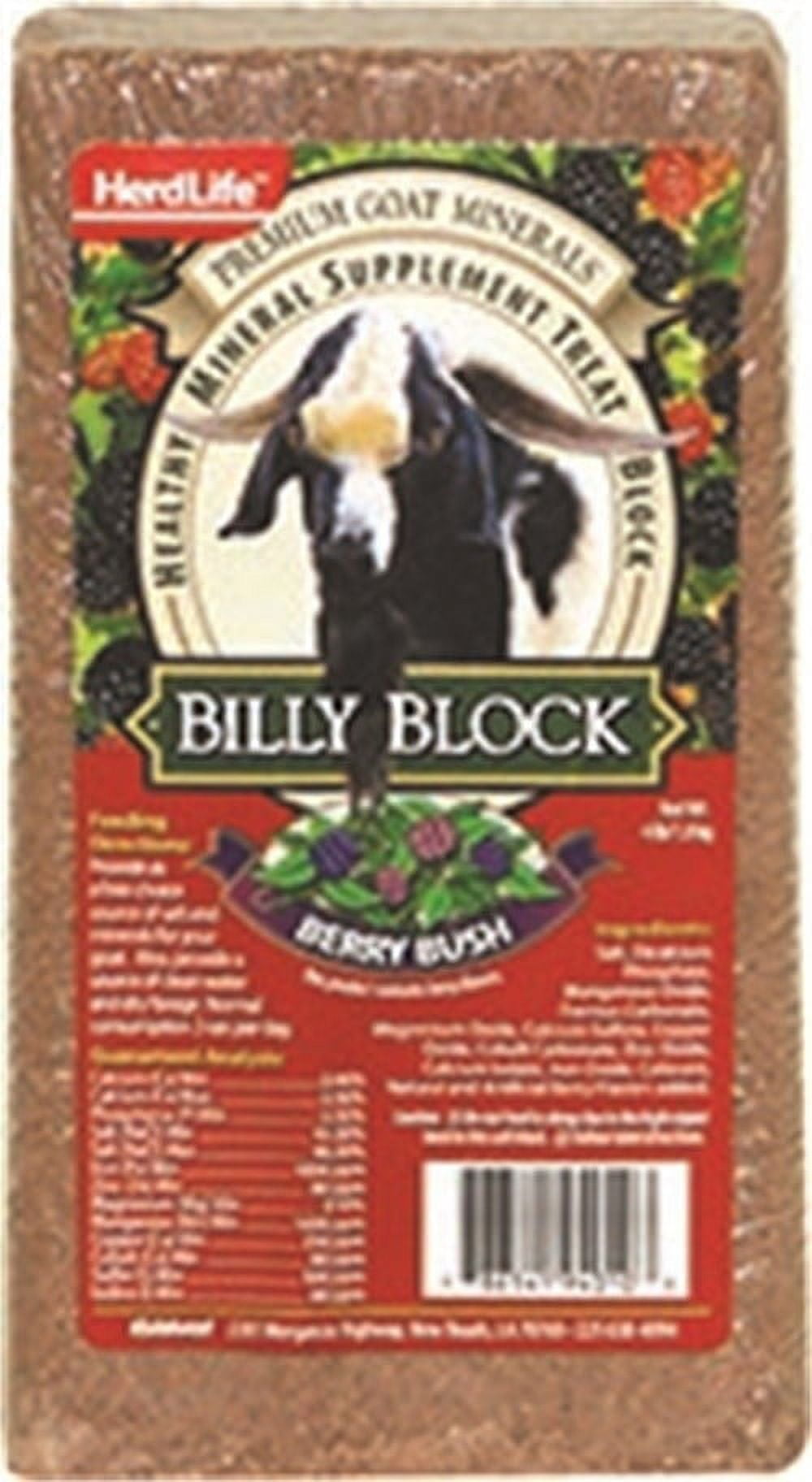 Billy Goat Supplement Treat Mineral Block - Walmart.com