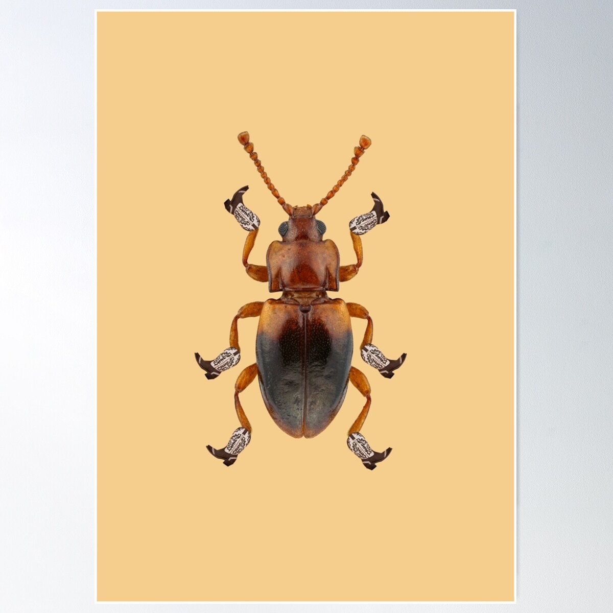 Billy The Booted Beetle Poster Wall Art, Modern Wall Decor For Living ...