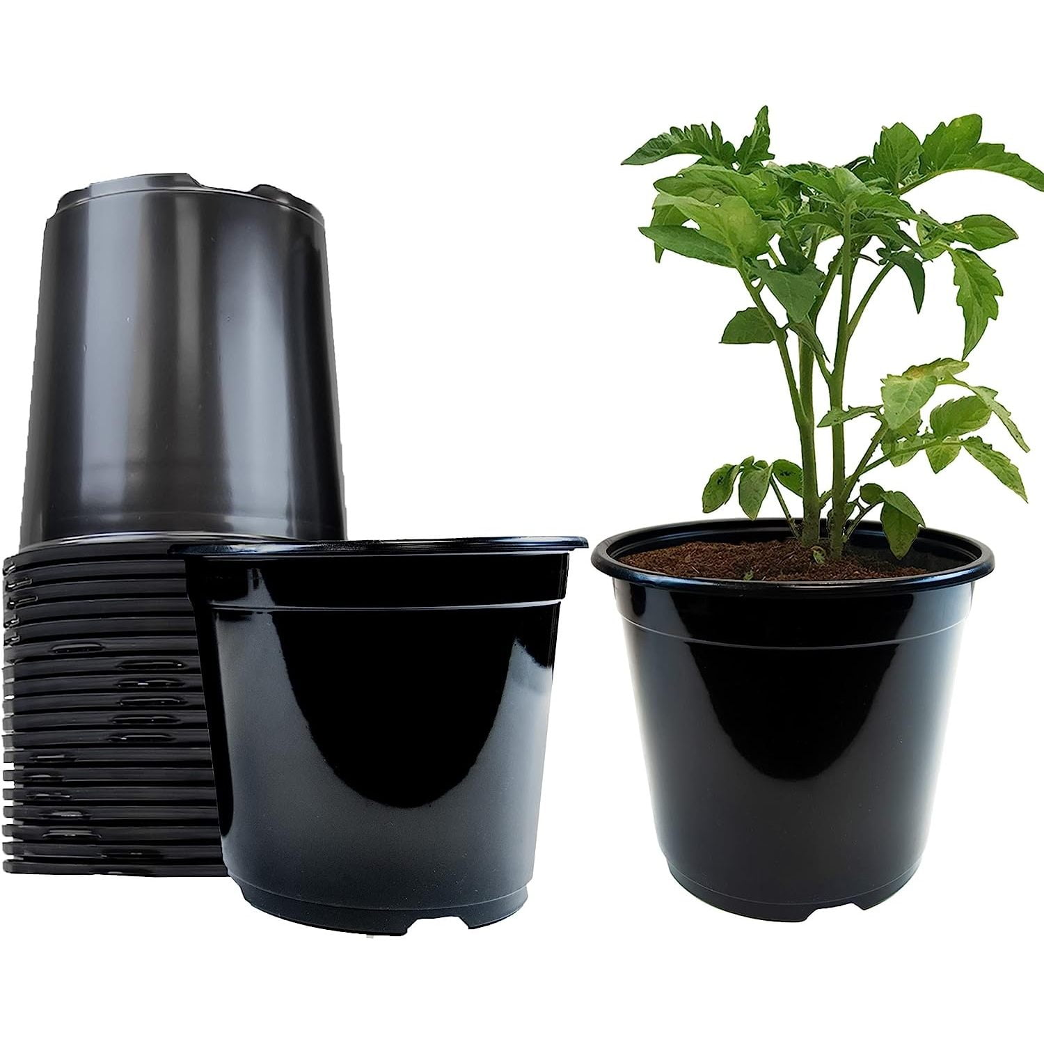 Bilot 1/2 Gal. Plastic Nursery Trade Pots .62 Gal / 2.5 Qt. / 2.37 L 20 ...