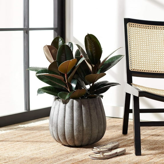 Bilot Outdoor Collection Kaston Grey Concrete Planter (Fully Assembled ...