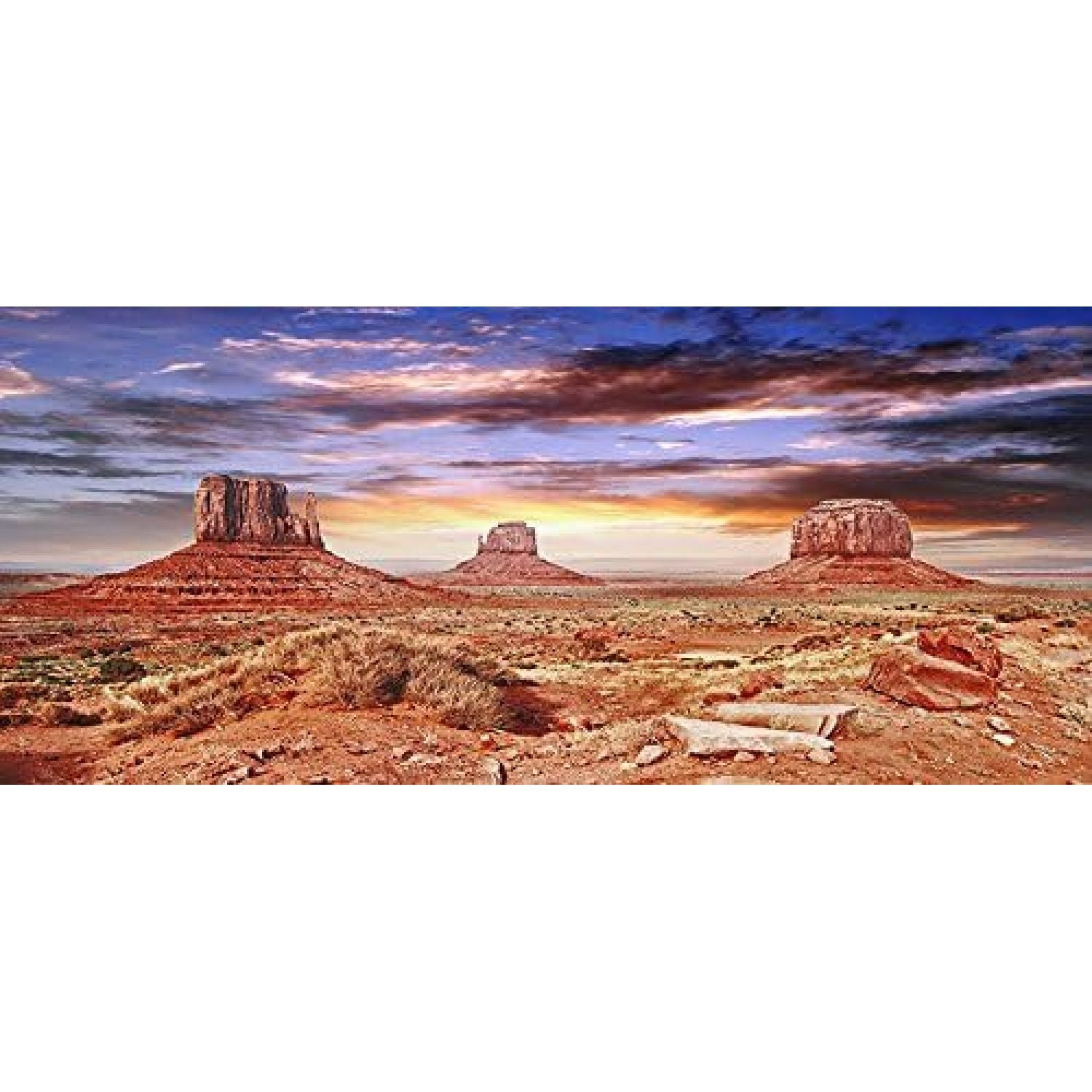 Bilot Reptile Habitat, Terrarium Background, Cool Desert Sky - 16 Tall ...