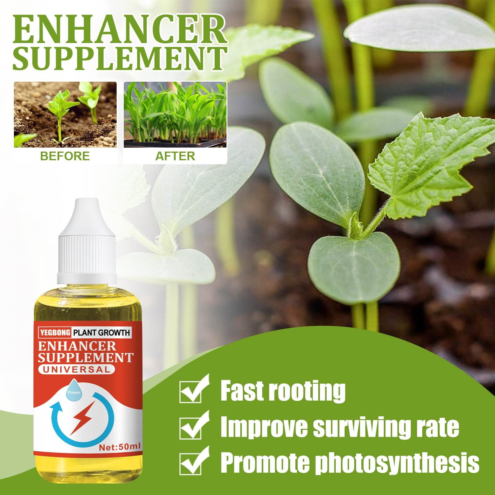 Bilqis Plant Growth Enhancer Supplement, Rooting Hormone for Cutting ...