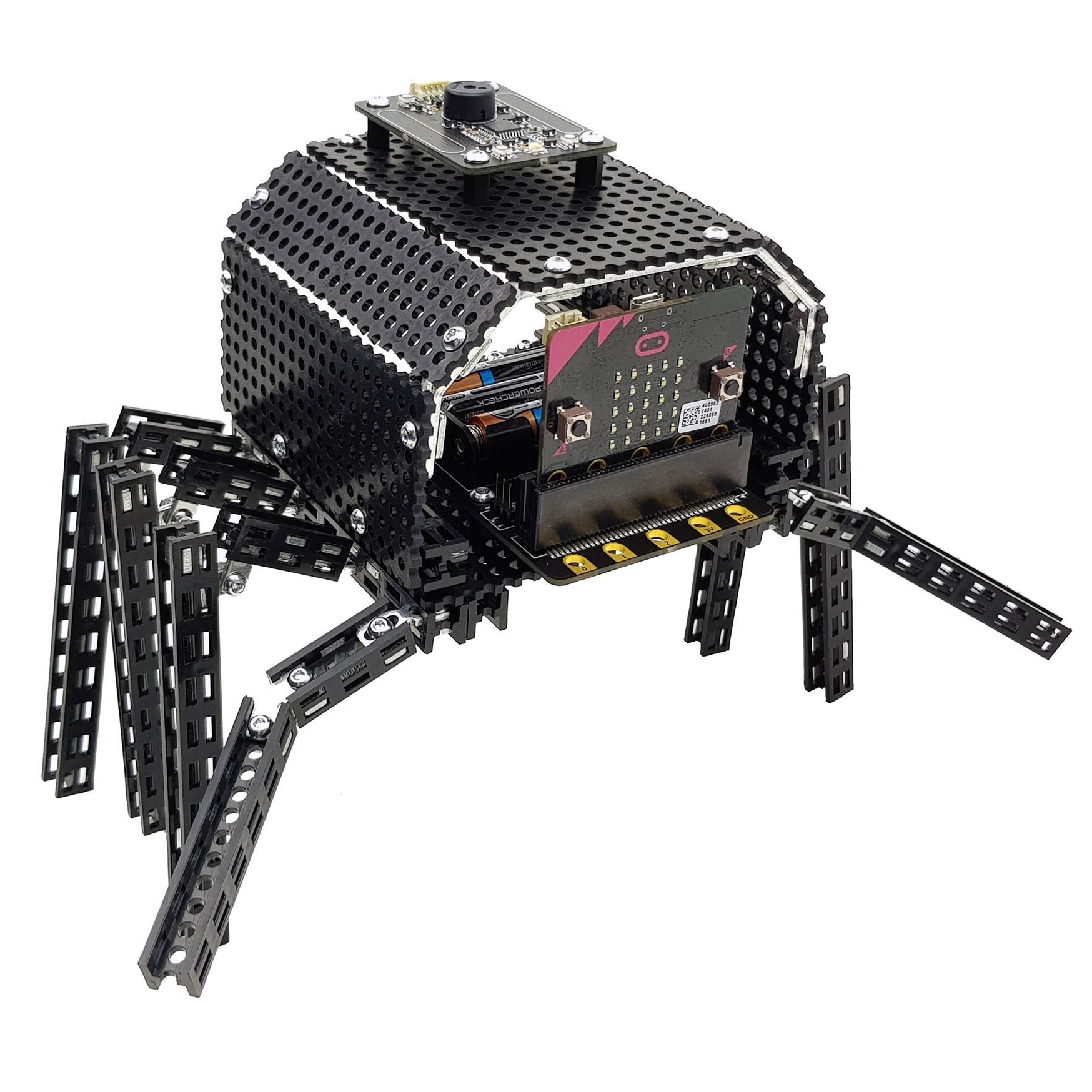 Spider Brown Wolf Lightup 53In - Walmart.com