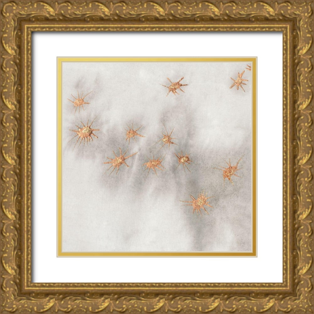 Binder, Vanessa 20x20 Gold Ornate Wood Framed with Double Matting ...