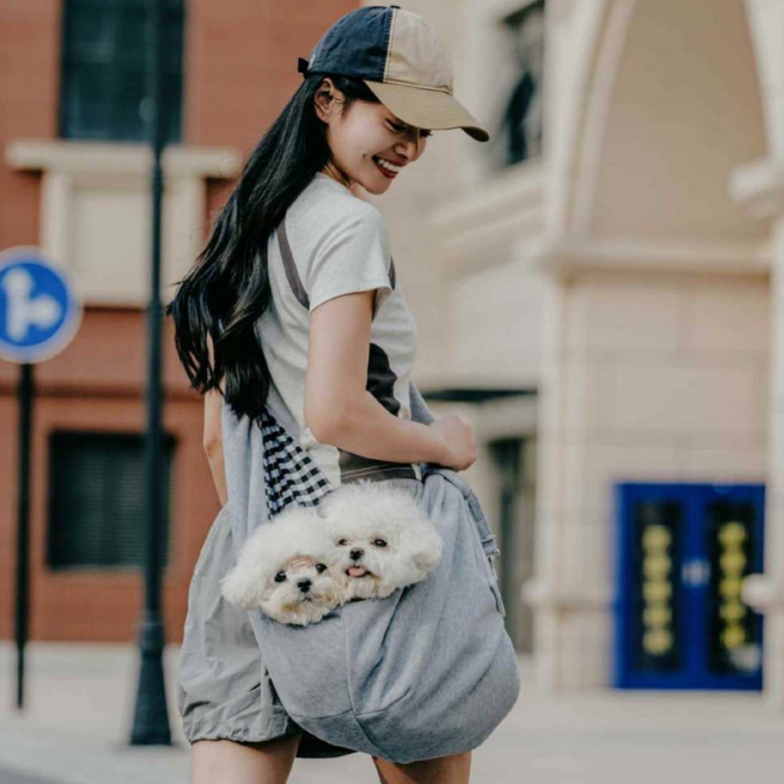 BingTong Dog And Cat Sling Carrier - Hands Free Reversible Pet Papoose ...