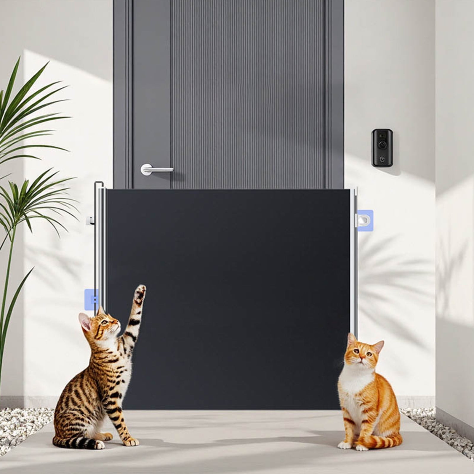 BingTong Retractable Pet Gate Barrier For Doorways, Pet Fence Jump ...