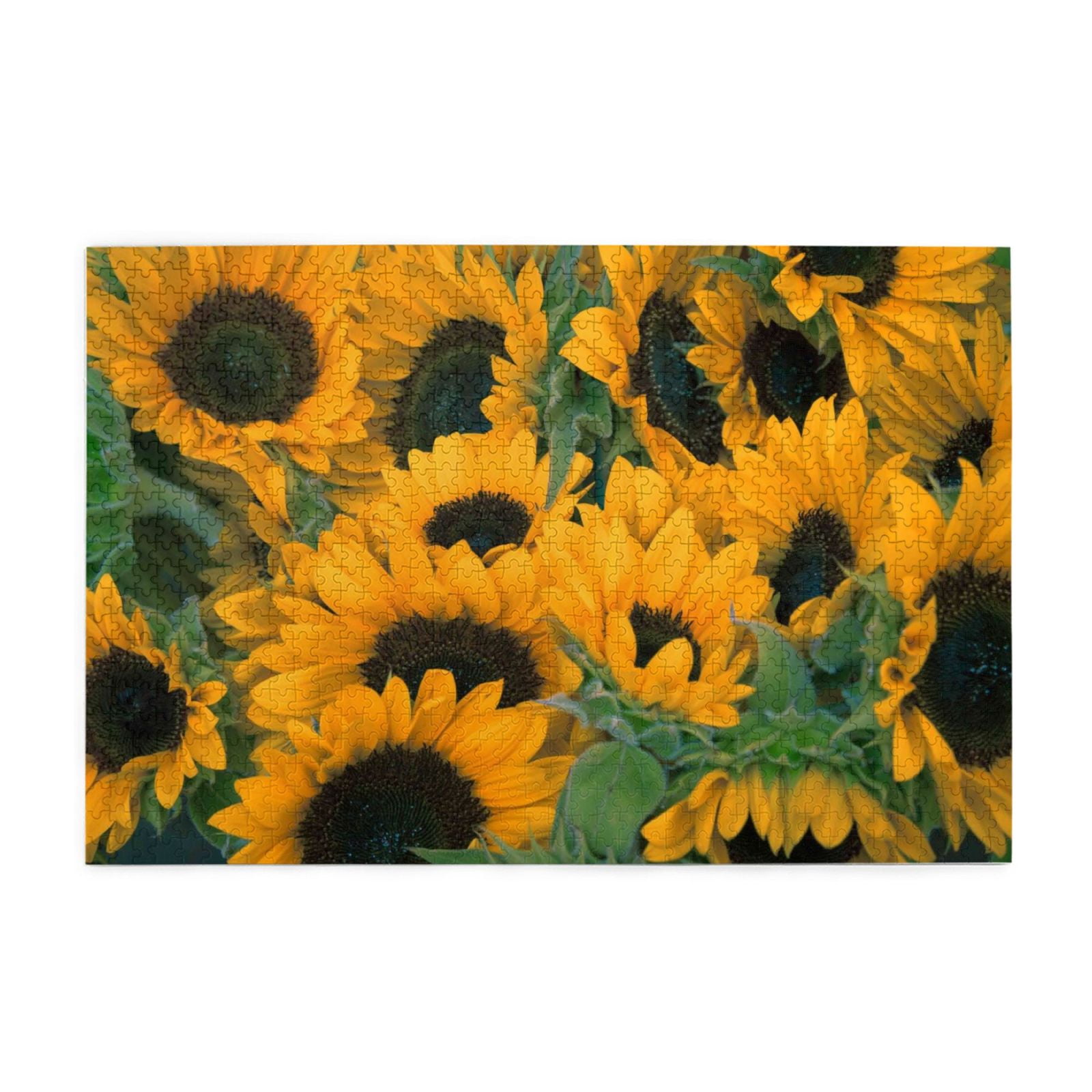 Bingfone 1000 Pieces Jigsaw Puzzles Sunflowers 7for Adults and Teens ...