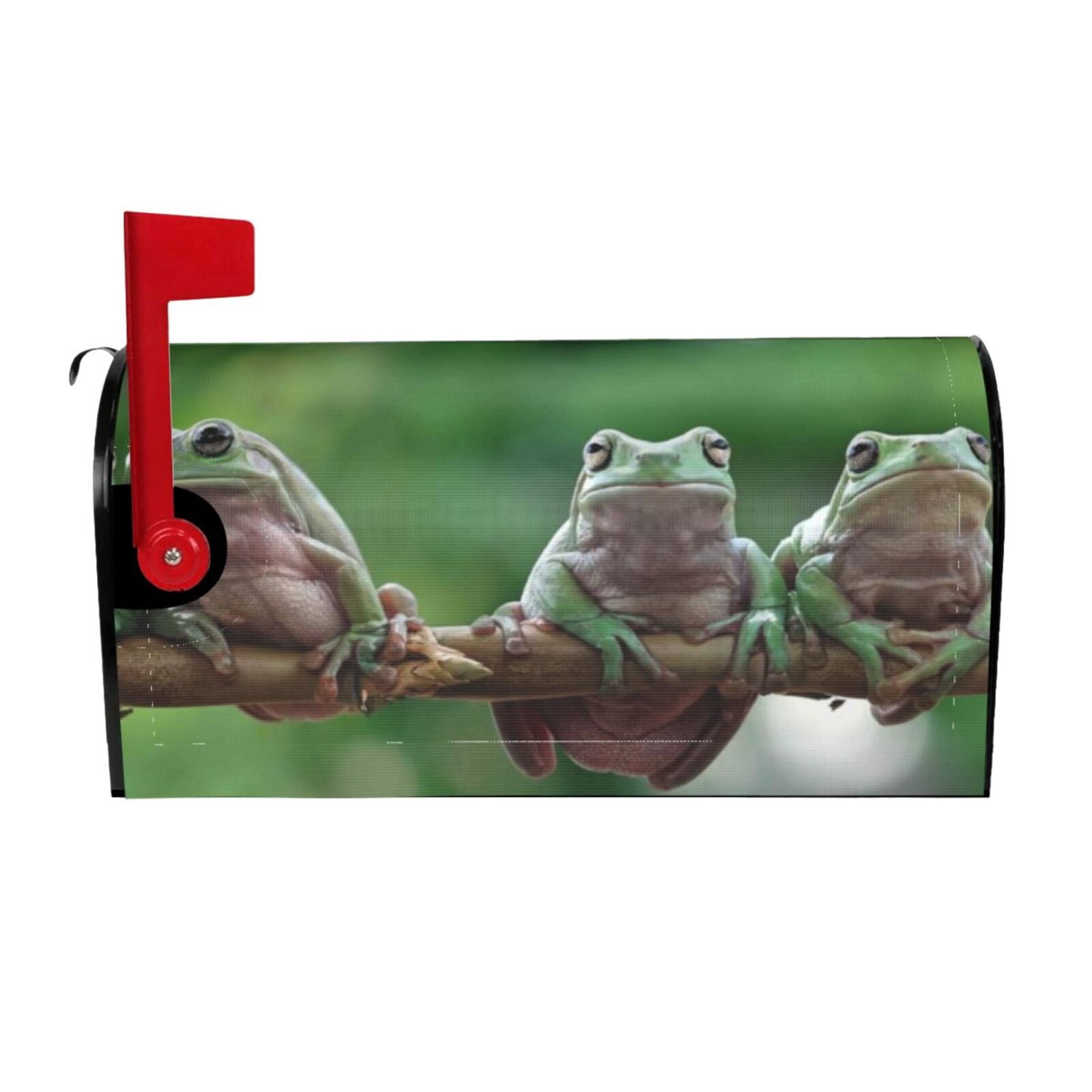 Bingfone Australian White Tree Frog Sitting On Branch Magnetic Mailbox ...