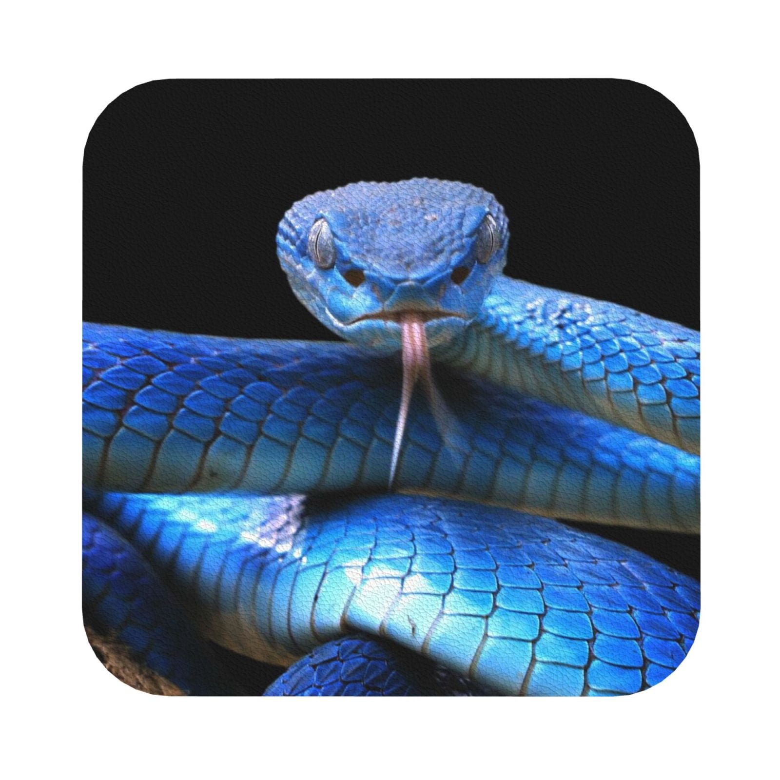 Bingfone Blue Viper Snake Personalized Coaster Set 4 For Drinks Coffee ...