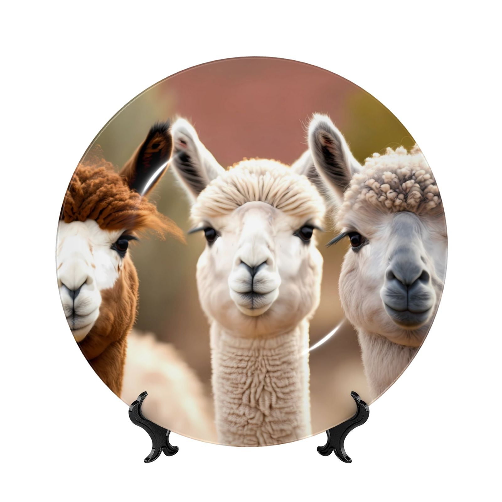 Bingfone Cute Alpaca in Daze Print Bone China Dinner Decorative Plates ...
