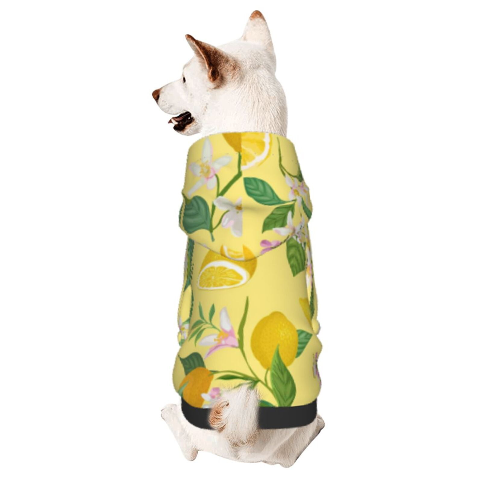 Bingfone Lemon Dog Clothes Hoodie, Pet Winter Coat,Puppy Sweatshirts ...