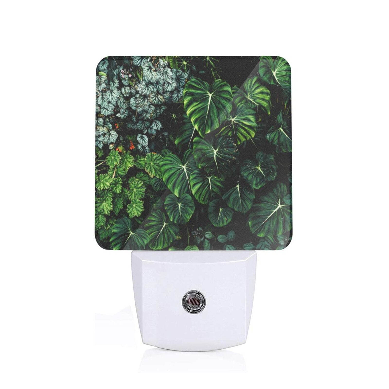 Bingfone Lush Foliage Green Plant Print Night Lights Plug into Wall ...