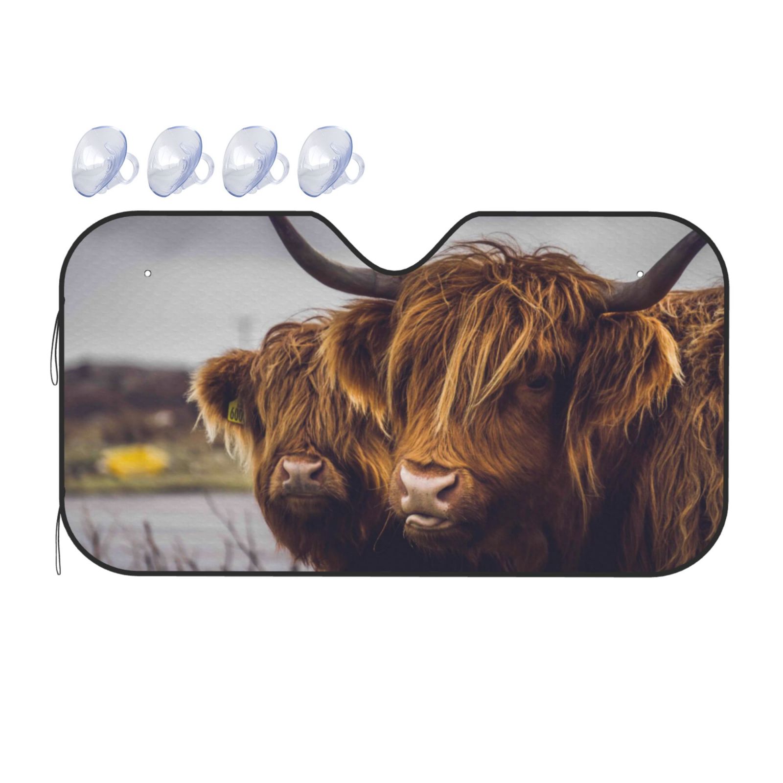 Bingfone Portrait Of Highland Cow With Its Baby Cow Car Windshield ...