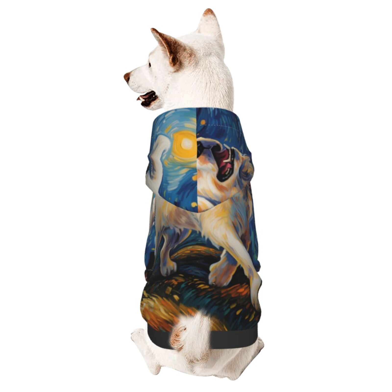 Bingfone Vintage Starry Sky Labrador Dog Clothes Hoodie, Pet Winter ...