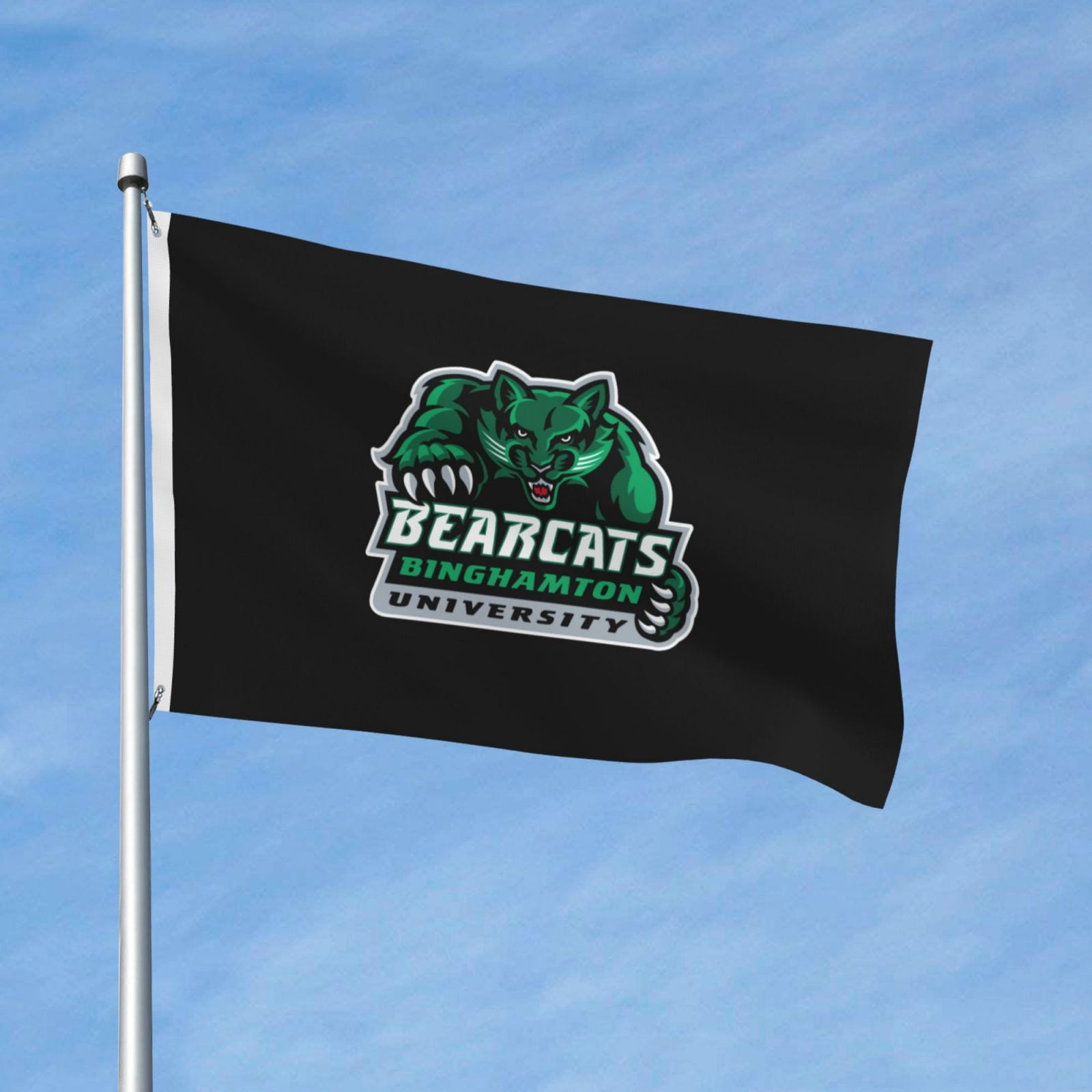 Binghamton University Logo Banner 3x5 Ft Flag,Double Sided Printed Flag ...