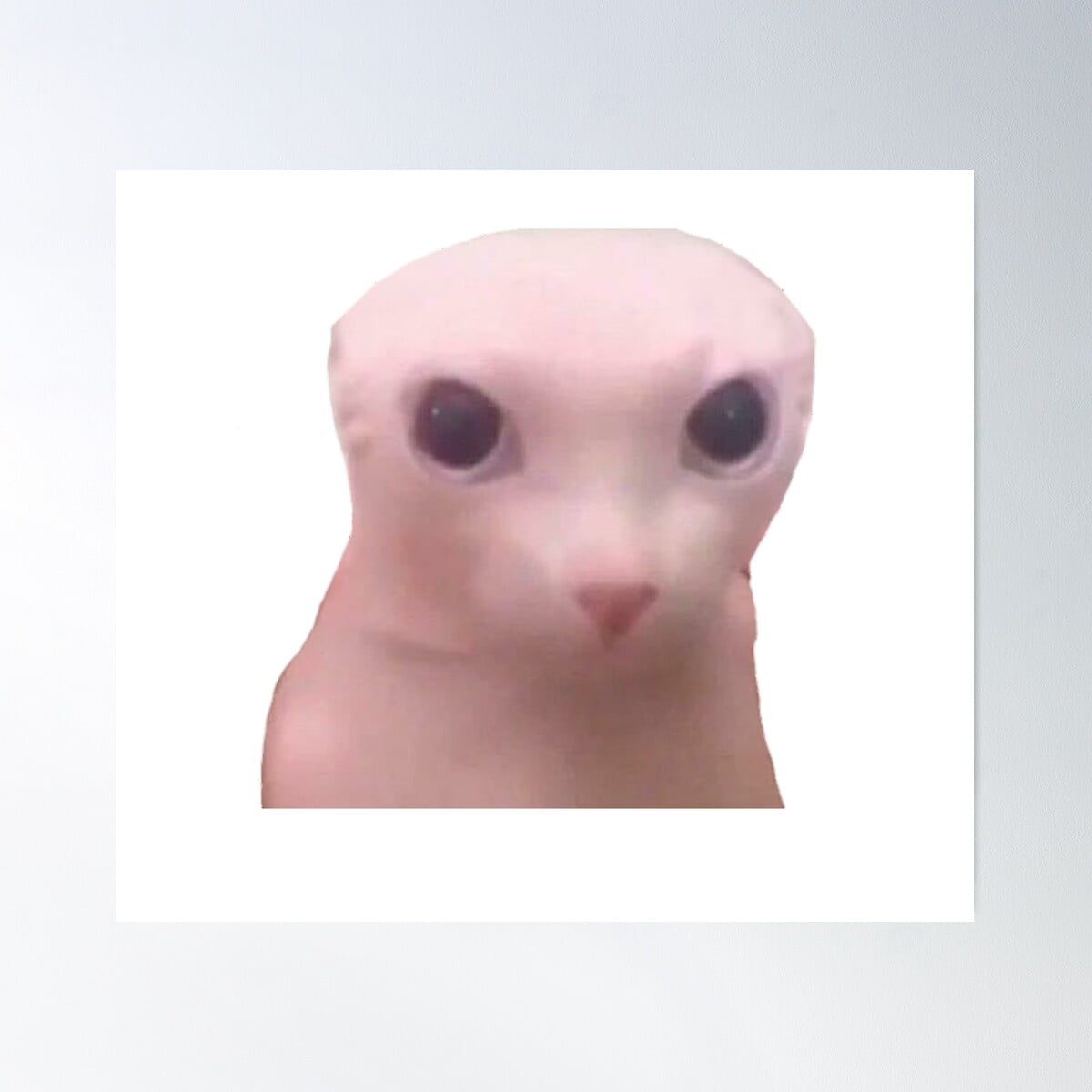 Bingus Cat Poster Wall Art, Modern Wall Decor For Living Room Bedroom ...