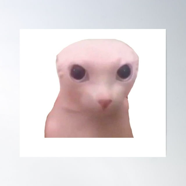 Bingus Cat Poster Wall Art, Modern Wall Decor For Living Room Bedroom ...